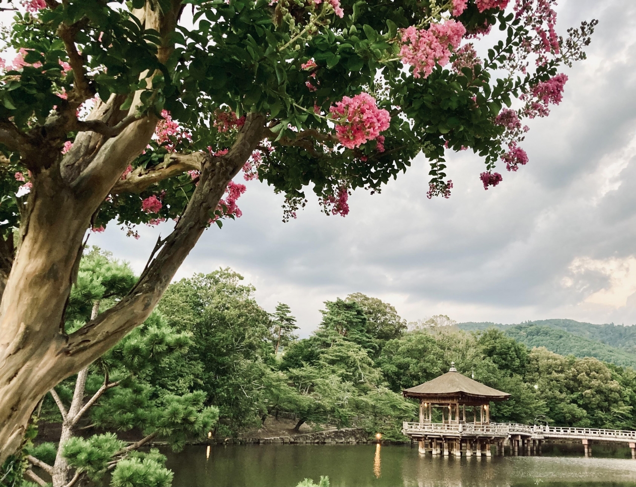 アンフルール(enfleur)は奈良「ならまち」にある紙文具中心のセレクトショップです